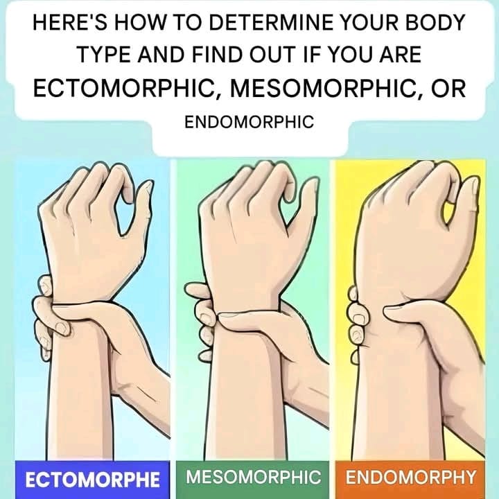 Are you an ectomorph, mesomorph, or endomorph? Discover your body type ...